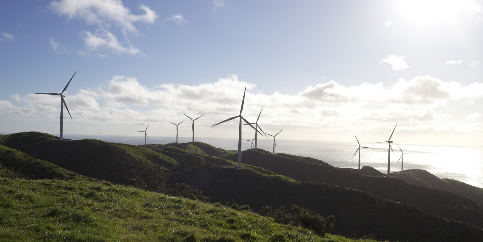 Meridian Energy | Mind That